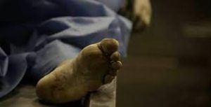 Dato Forense 01 – El Ánima Rayada del Cañón | Criminociencia
